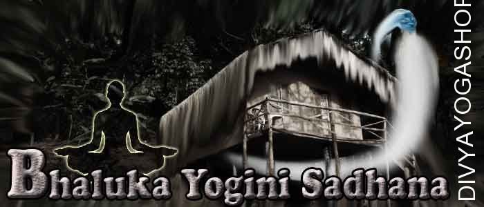 Bhaluka yogini sadhana, online Bhaluka yogini sadhana, Bhaluka yogini ...