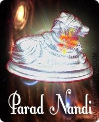 Parad Nandi, Parad Nandi store, what is Parad Nandi, Parad Nandi mumbai