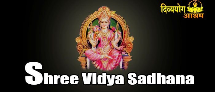 Shree Vidya Sadhana, online Shree Vidya Sadhana, buy Shree Vidya ...