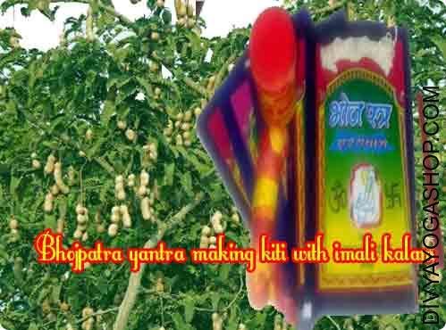 Bhojpatra yantra making set with imali tree kalam, bhojpatra with imali ...